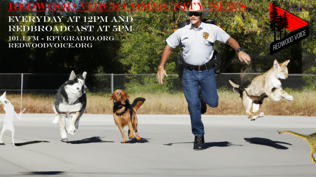 The Animal Control Sheriff - Redwood Voice Community News